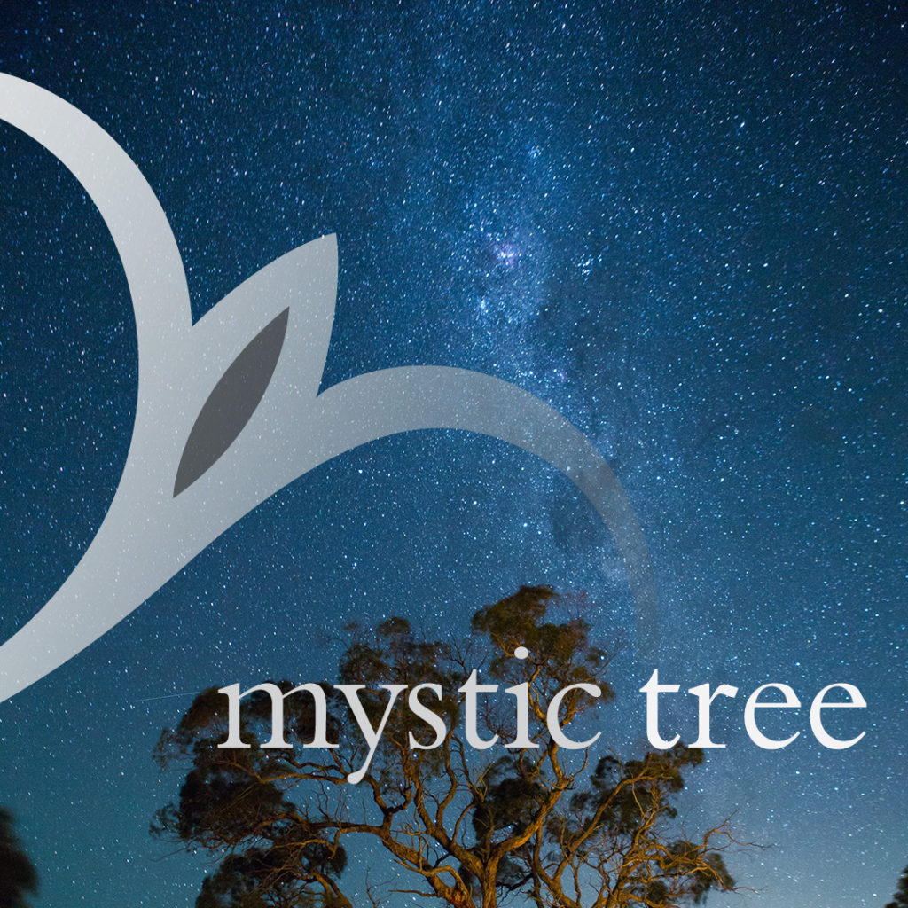 About Mystic Tree